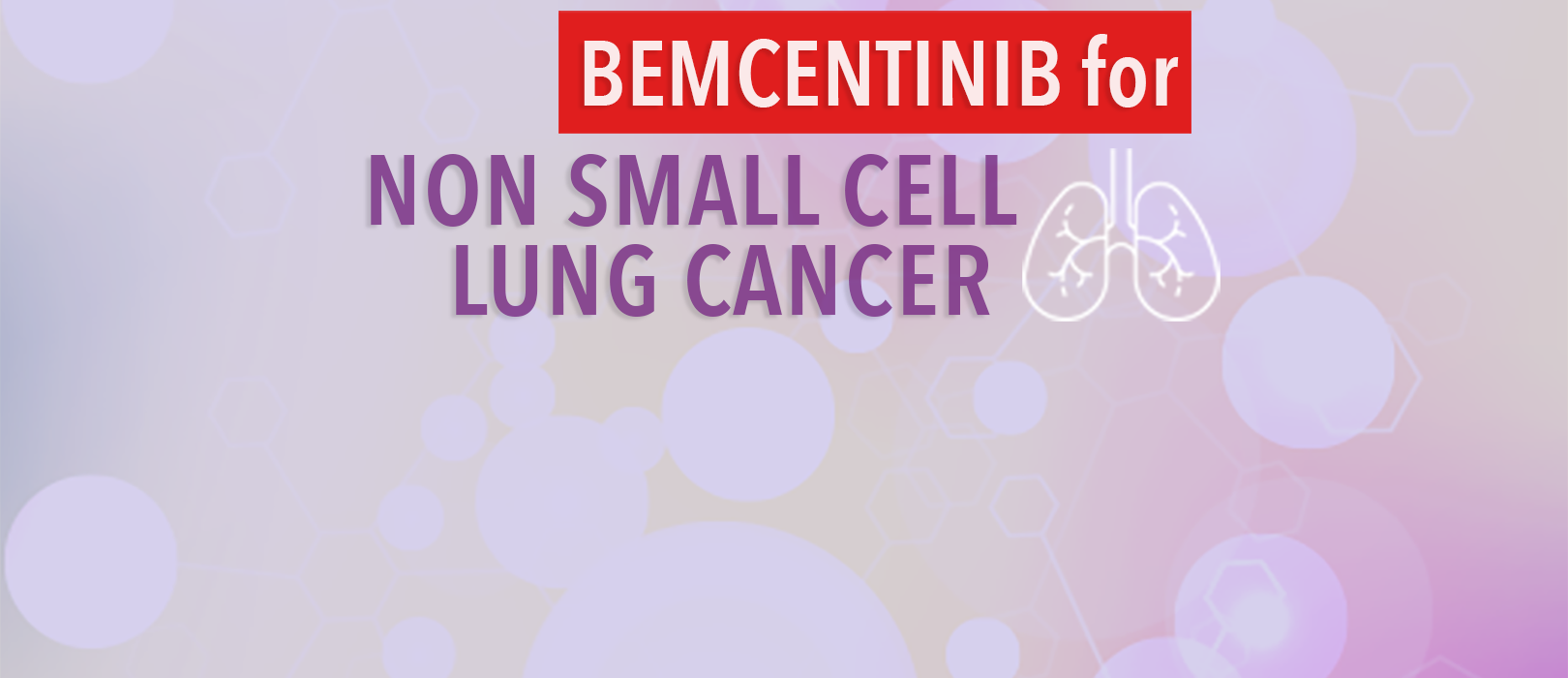 Bemcentinib - Keytruda Combination in NSCLC