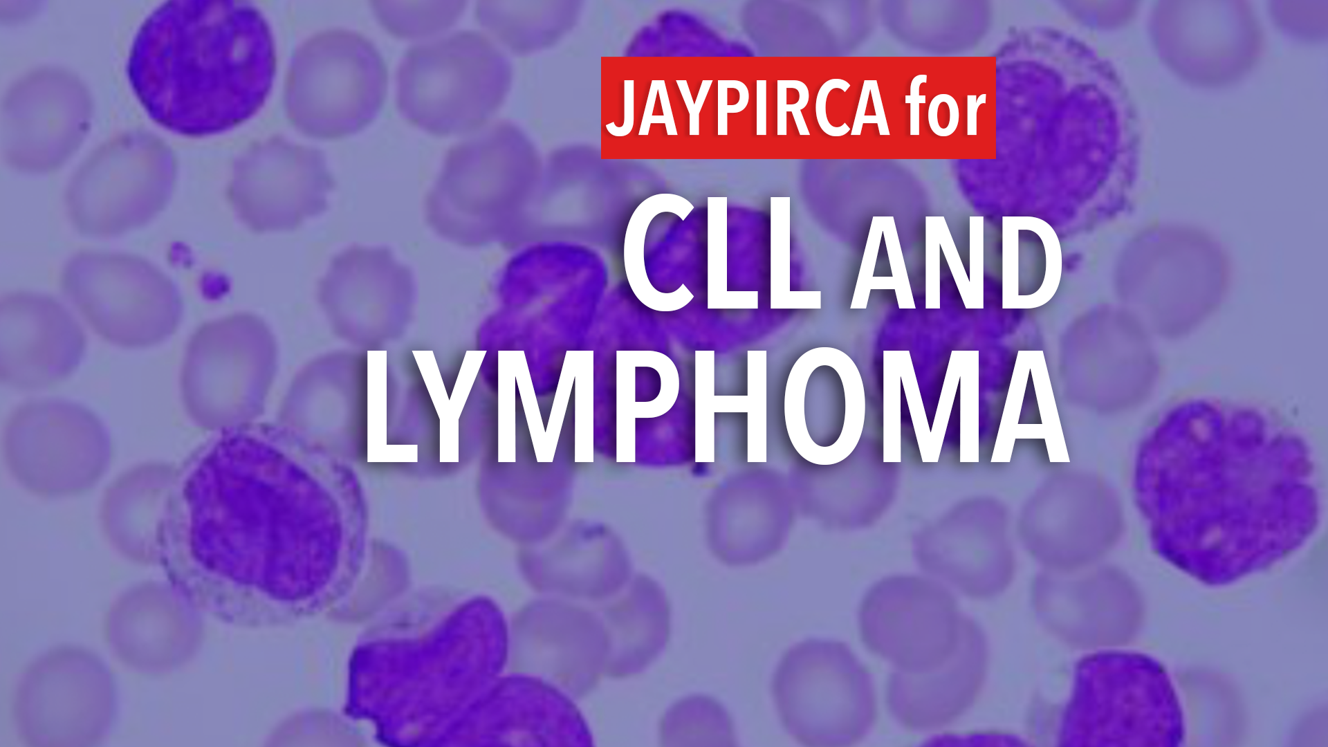 Jaypirca in Chronic Lymphocytic Leukemia and Lymphomas