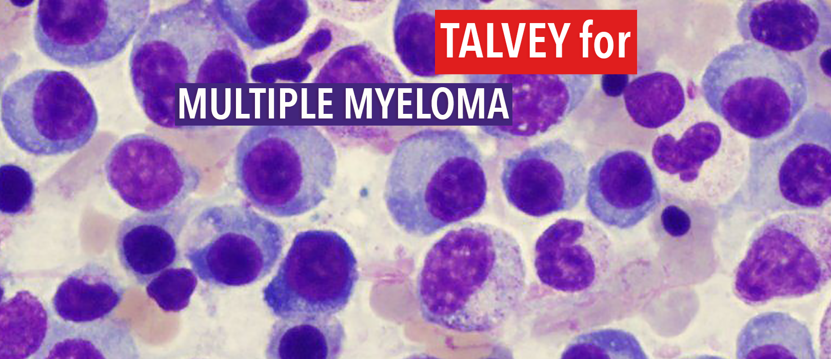 Talquetamab fo Multiple Myeloma